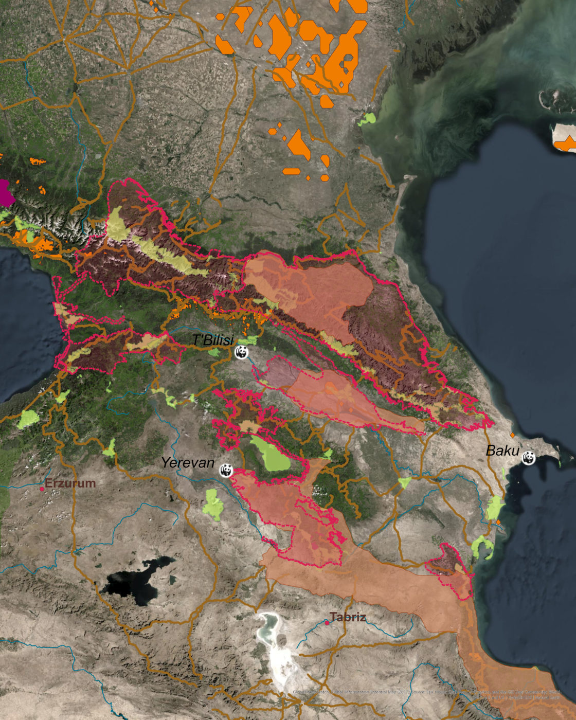 WWF Mapathon 2023: Studierende kartieren WWF-Projektregionen